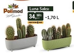 Bim 5 Nisan 2024 Aktüel Kataloğu - İndirim Broşürü | Akakçe Aktüel