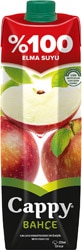 Cappy Atom Meyve Suyu 250 ml Fiyatları, Özellikleri ve Yorumları | En ...