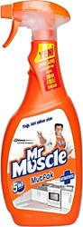 Mr. Muscle 500 ml Banyo Temizleyici Sprey Fiyatları, Özellikleri ve ...