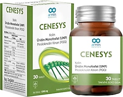 Armin Cenesys 60 tablet Fiyatları, Özellikleri ve Yorumları | En Ucuzu ...