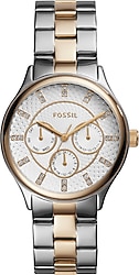 Fossil BQ3927 Kadın Kol Saati Fiyatları, Özellikleri ve Yorumları | En ...