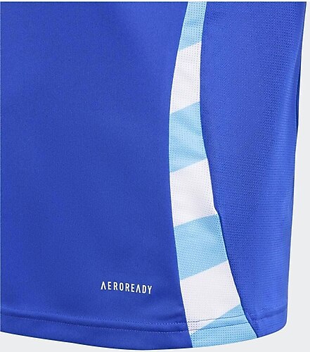 Adidas IP8385 2024/2025 Deplasman Arjantin Çocuk Forması Fiyatları ...
