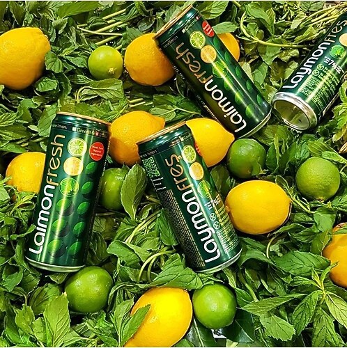 Laimon Fresh Nane Limon 330 ml Fiyatları, Özellikleri ve Yorumları | En ...