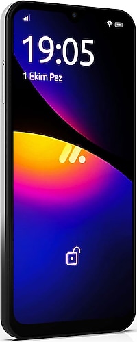 Mipo M46 Plus 256 GB Gri Fiyatları, Özellikleri ve Yorumları | En Ucuzu ...