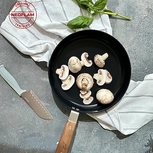 Neoflam D-NEOBN124 Bien İndüksiyonlu 24 cm Tava Fiyatları, Özellikleri ve Yorumları | En Ucuzu ...