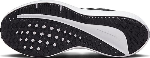 Nike Air Winflo 10 Siyah-Beyaz Kadın Koşu Ayakkabısı DV4023-003 ...