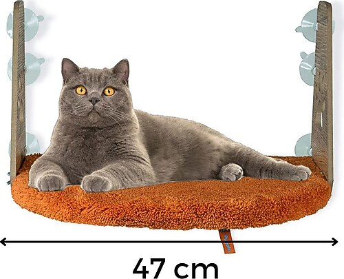 Pugalo Vantuzlu Kedi Cam Yatağı - Turuncu Fiyatları, Özellikleri ve ...