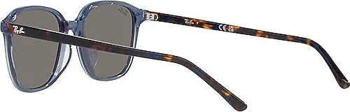 Ray-Ban Leonard 2193 6638O4 Blue Güneş Gözlüğü Fiyatları, Özellikleri ...