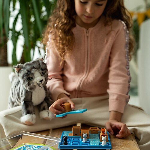 Smart Games Cats and Boxes Fiyatları, Özellikleri ve Yorumları | En ...