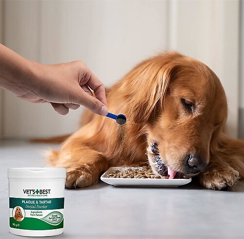 Vet's Best Köpekler için Plak ve Tartar Önleyici 90 gr Ağız Bakım Tozu ...
